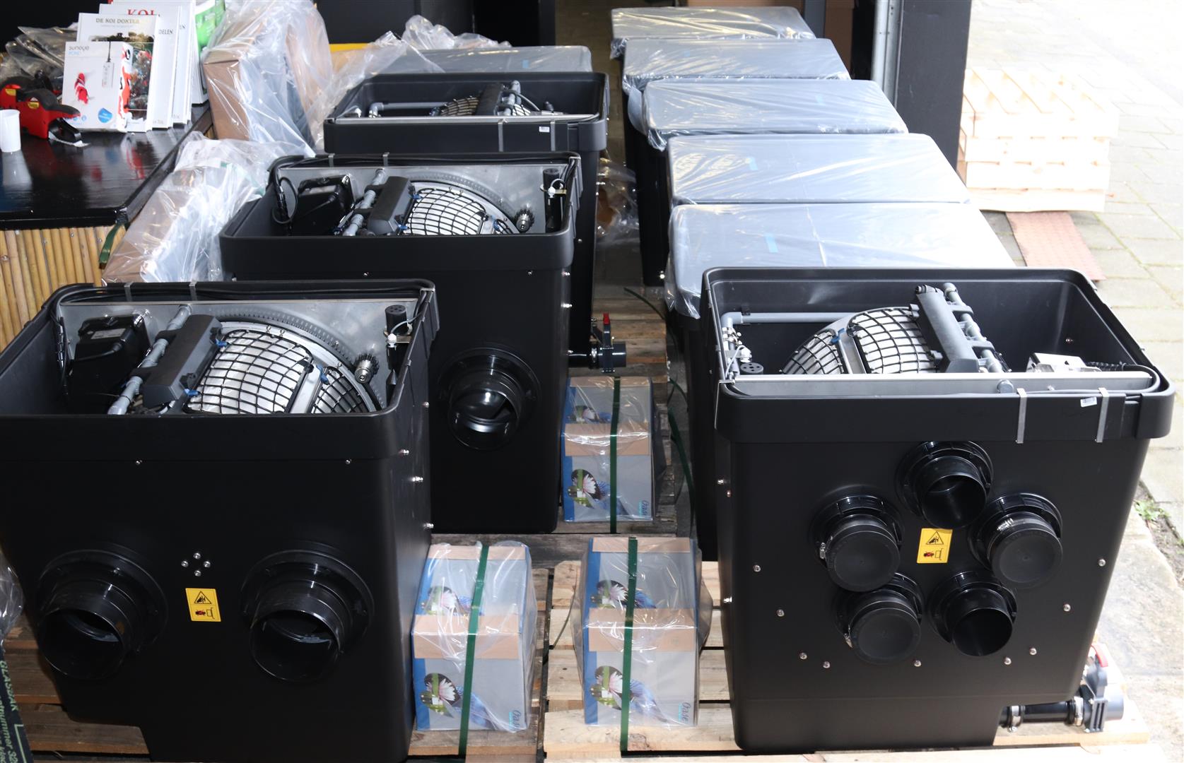 KKKW? Koninklijke Koi Kichi World? • Koi Kichi World